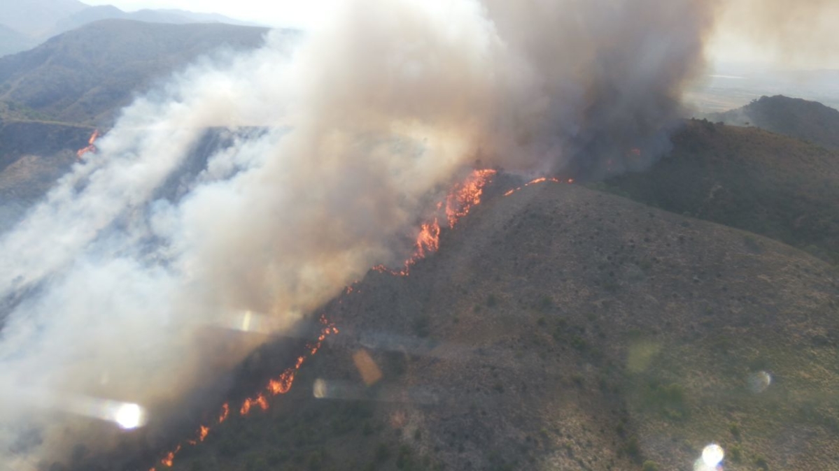 9 de cada 10 incendios se deben a la acción del ser humano y son ...