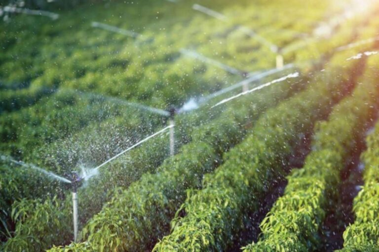 Asaja denuncia que el "recorte" planteado por la Confederación del ...