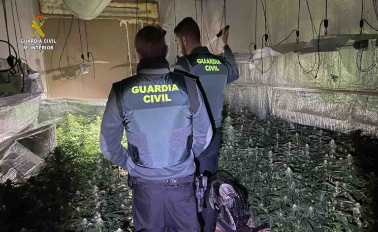 Detenido por tener una plantación de marihuana que causaba problemas de luz en un pueblo de ...
