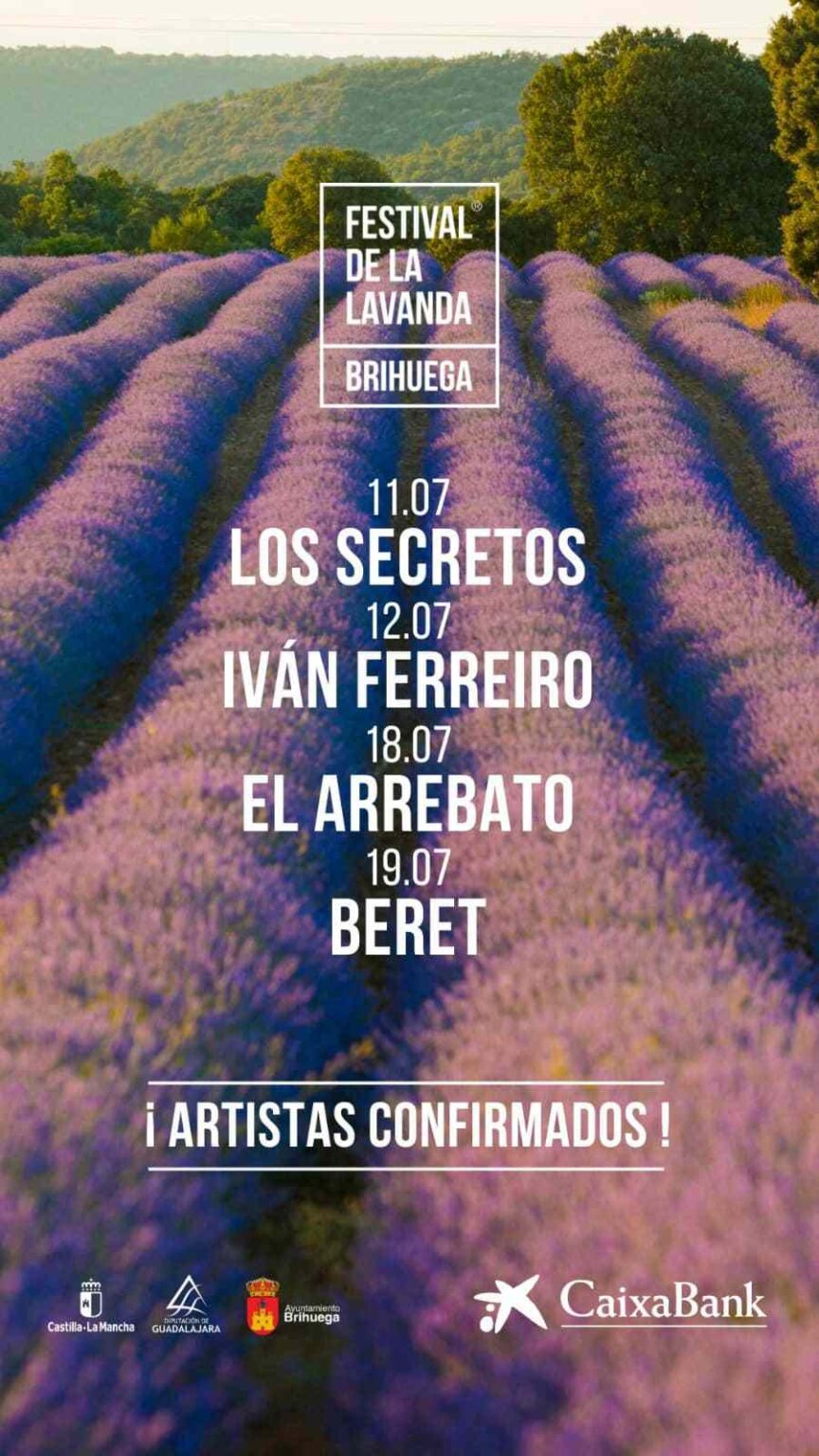 La lavanda conquista Guadalajara: nuevo documental y un festival en la Provenza española - ENCLM